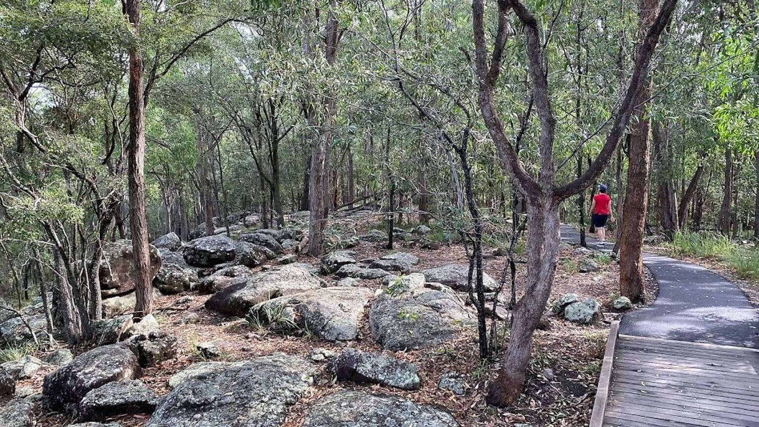 Toohey Forest Park – bushland walking track with views of Brisbane