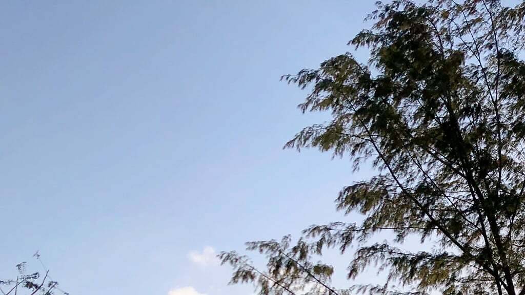 75km Eastern Half Of The Round Island Route Is Now Open