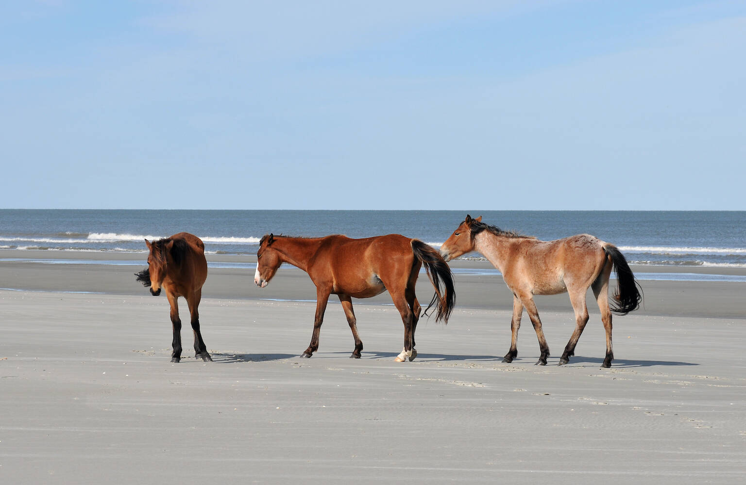 11 Secret Beaches in the U.S. for a Secluded Getaway