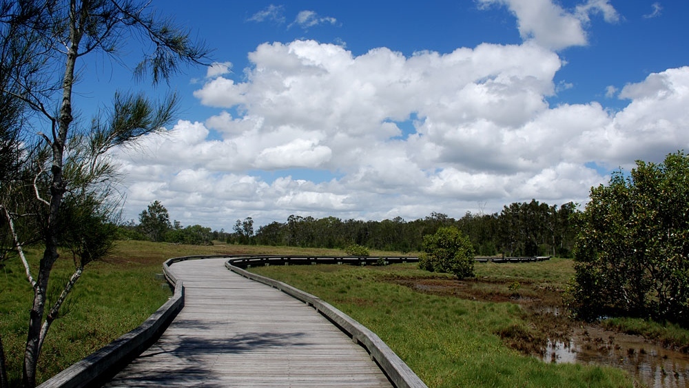 Boondall Wetlands – wheelchair friendly and kid friendly walking track ...