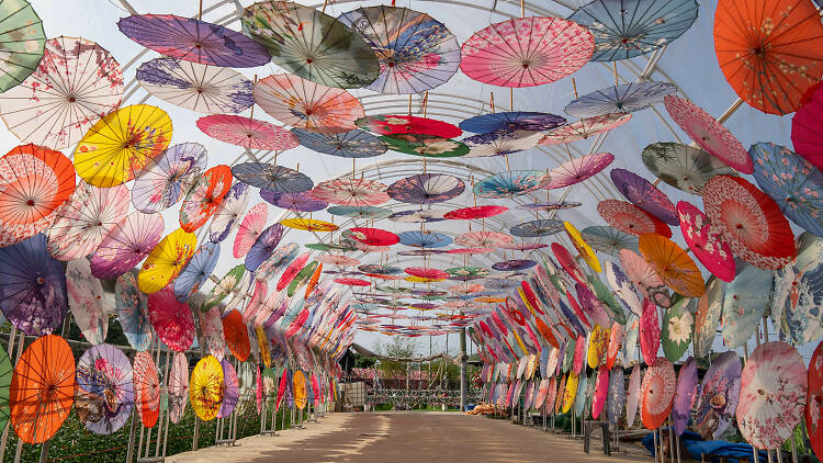 Shun Sum Yuen Farm turns into a mini Japan with themed installations