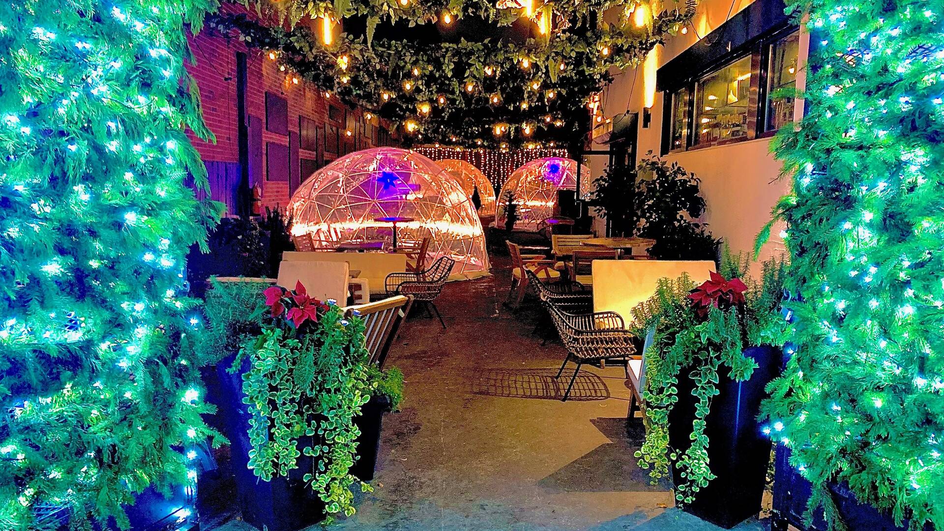 NYC's coziest outdoor dining setups for winter
