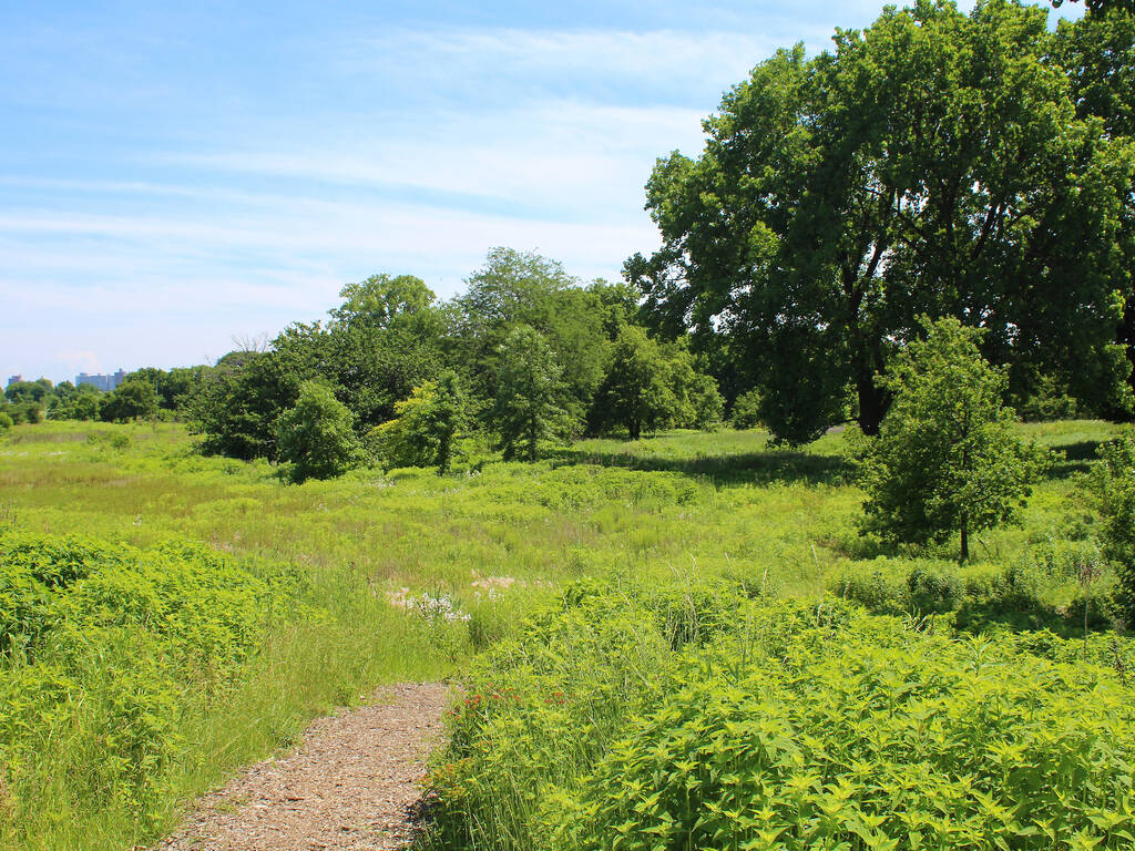 25 Amazing Chicago Parks to Visit in 2022