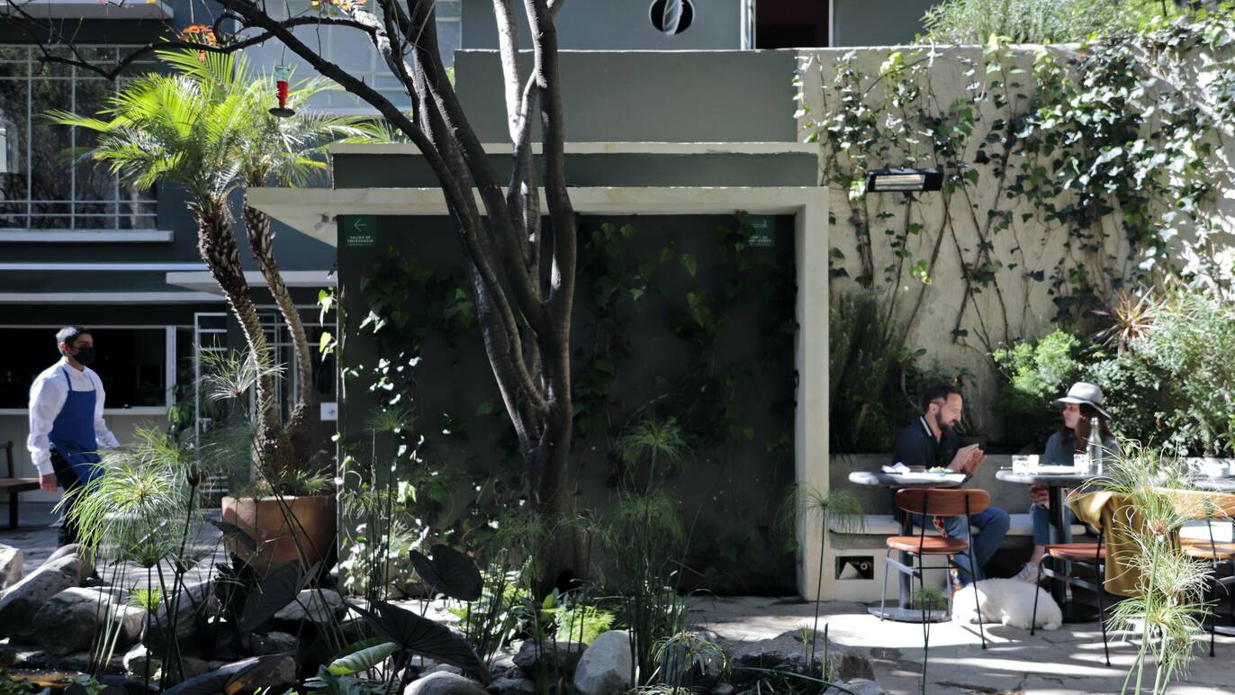 Botánico, el nuevo y más cool restaurante de la Condesa