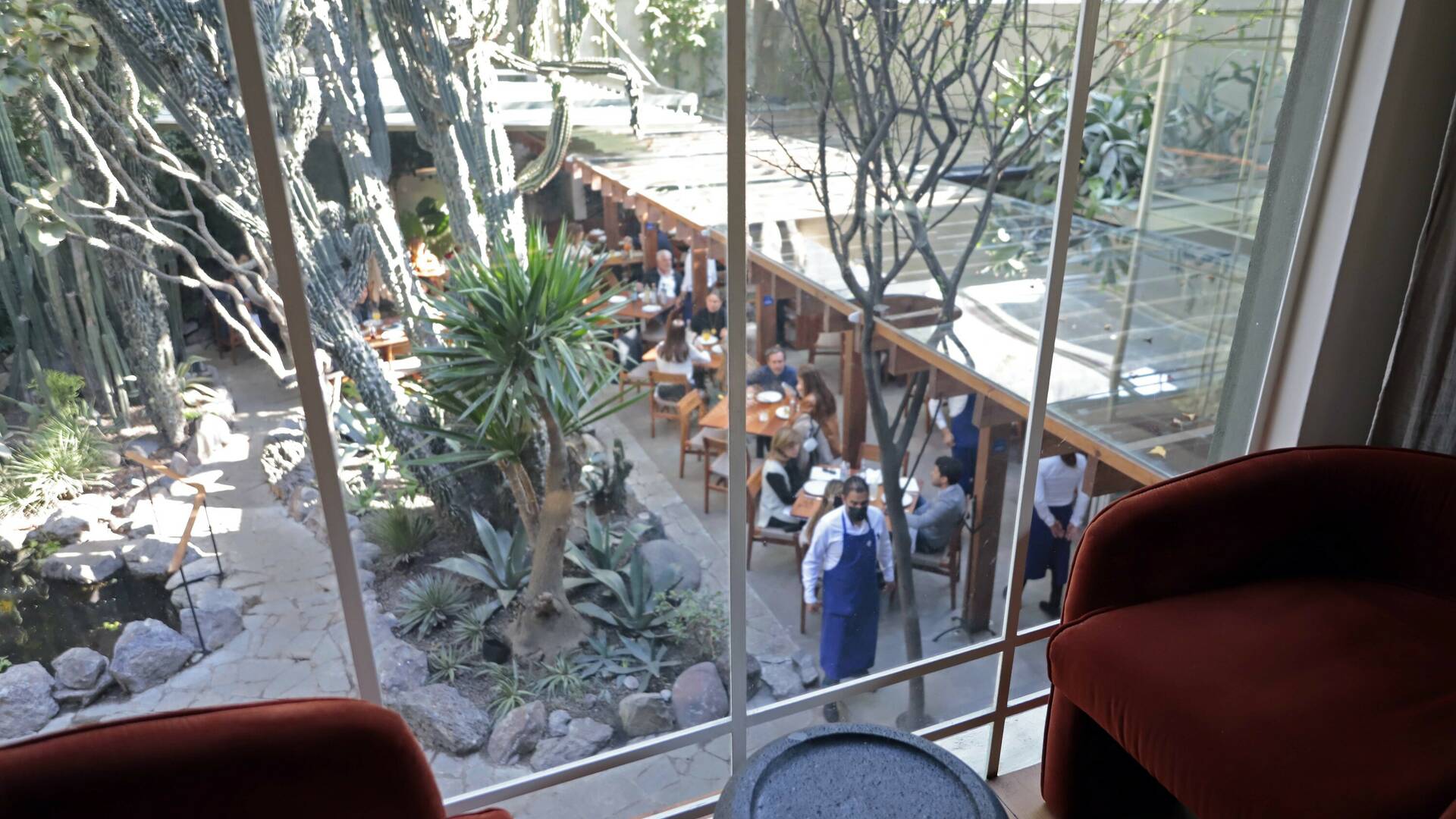 Botánico, el nuevo y más cool restaurante de la Condesa