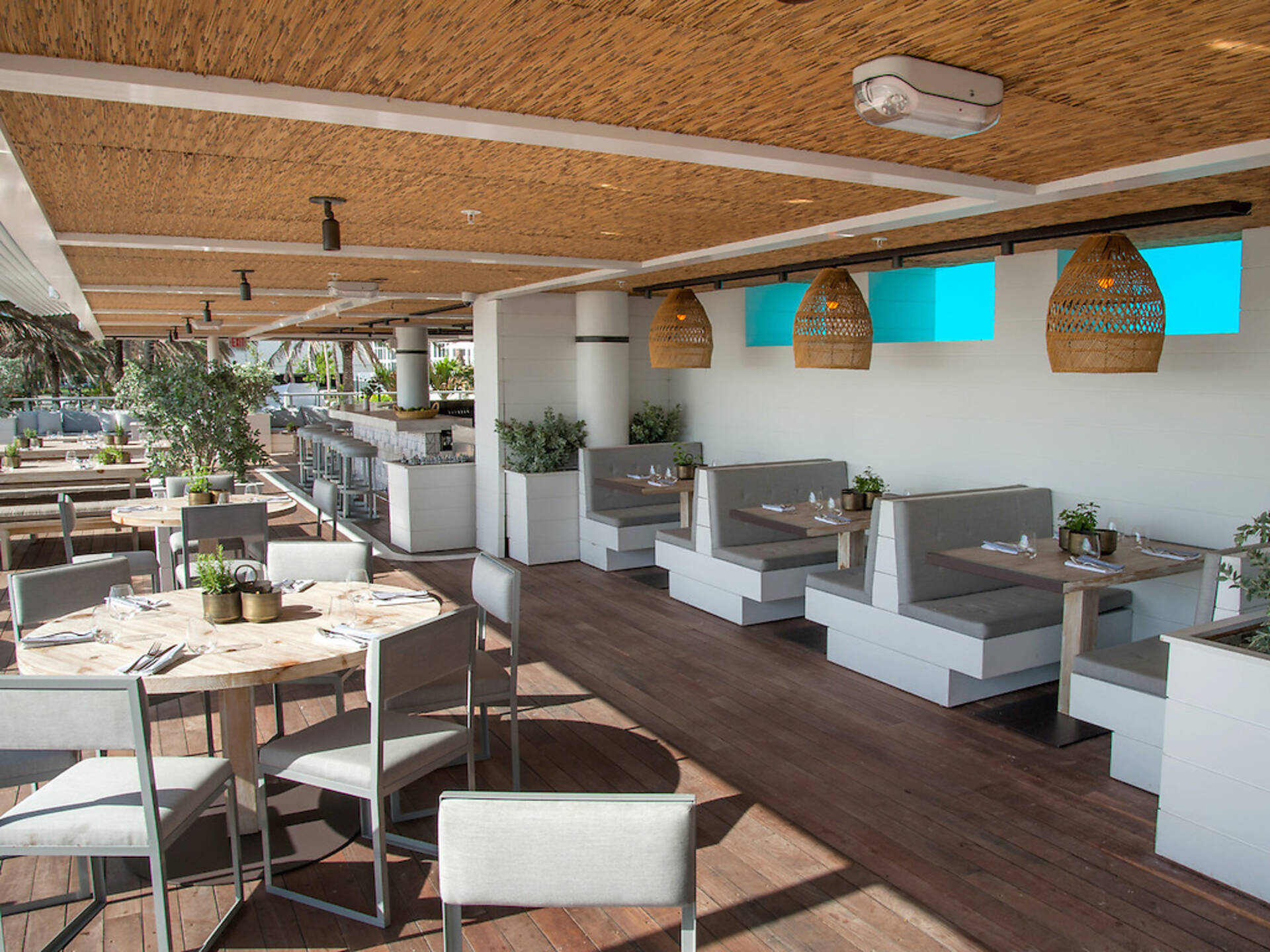 Time Out Miami | Miami Events and Things To Do