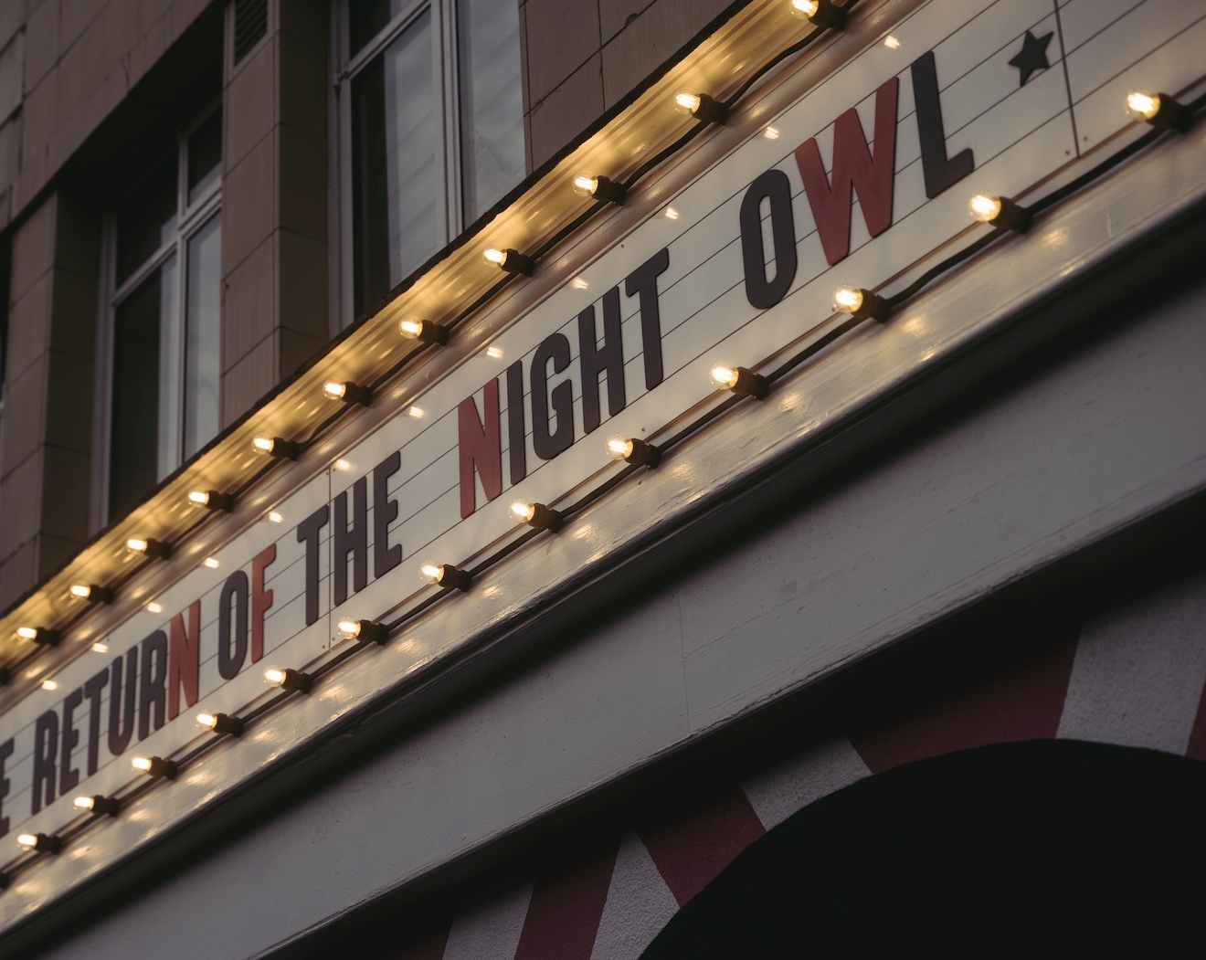The Night Owl | Bars and pubs in Finsbury Park, London
