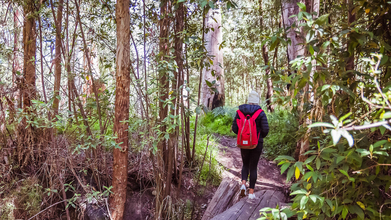 The 17 Best Camping Spots Near Melbourne in Victoria