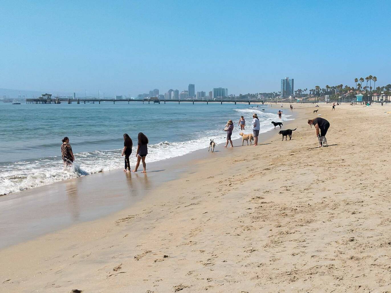 11 Best Beaches in Los Angeles to Surf, Swim & Play All Year Round