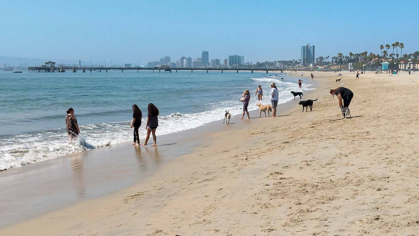 11 Best Beaches in Los Angeles to Surf, Swim & Play All Year Round