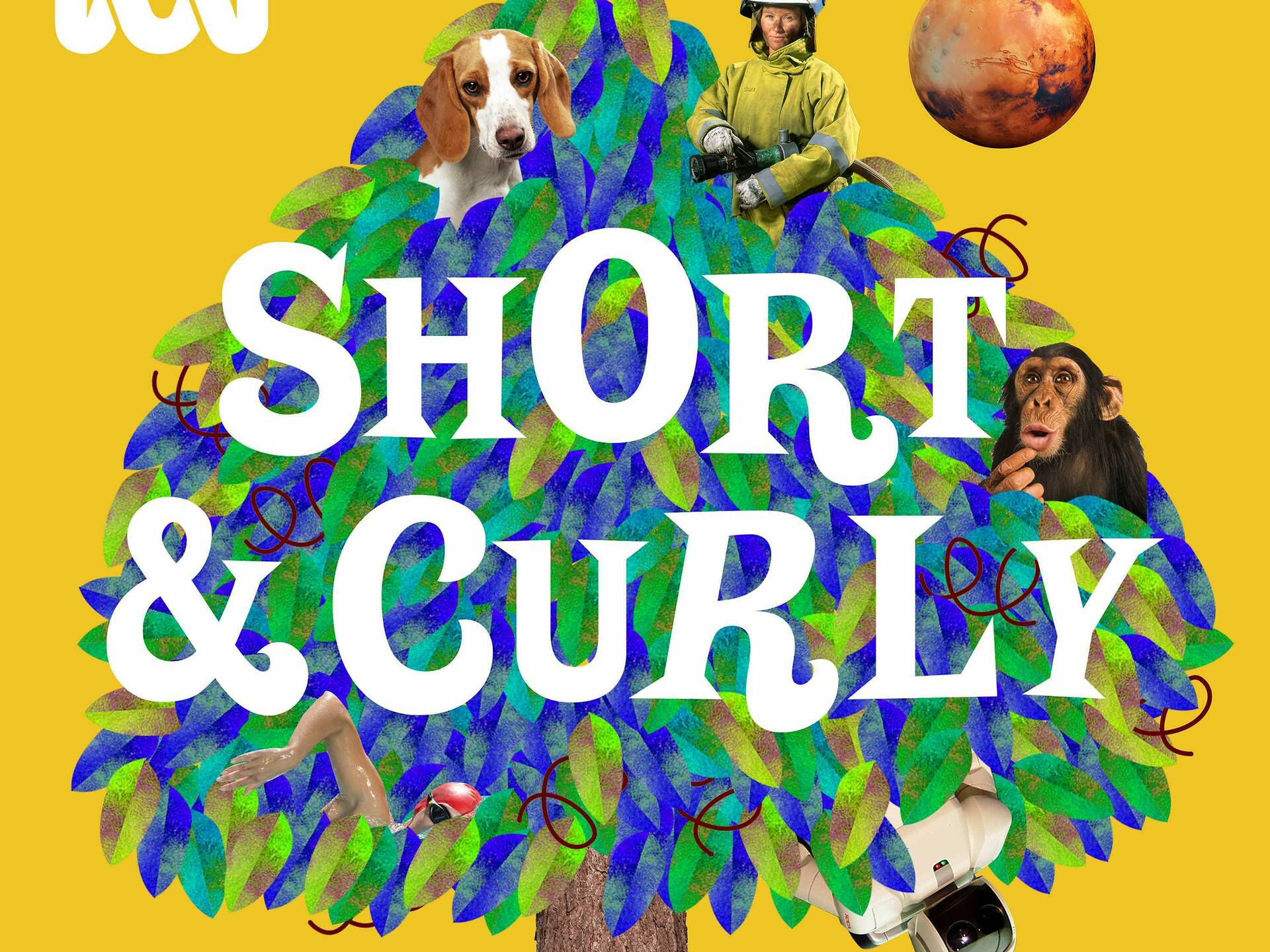 23 Best Kids’ Podcasts – Perfect for Kids of All Ages