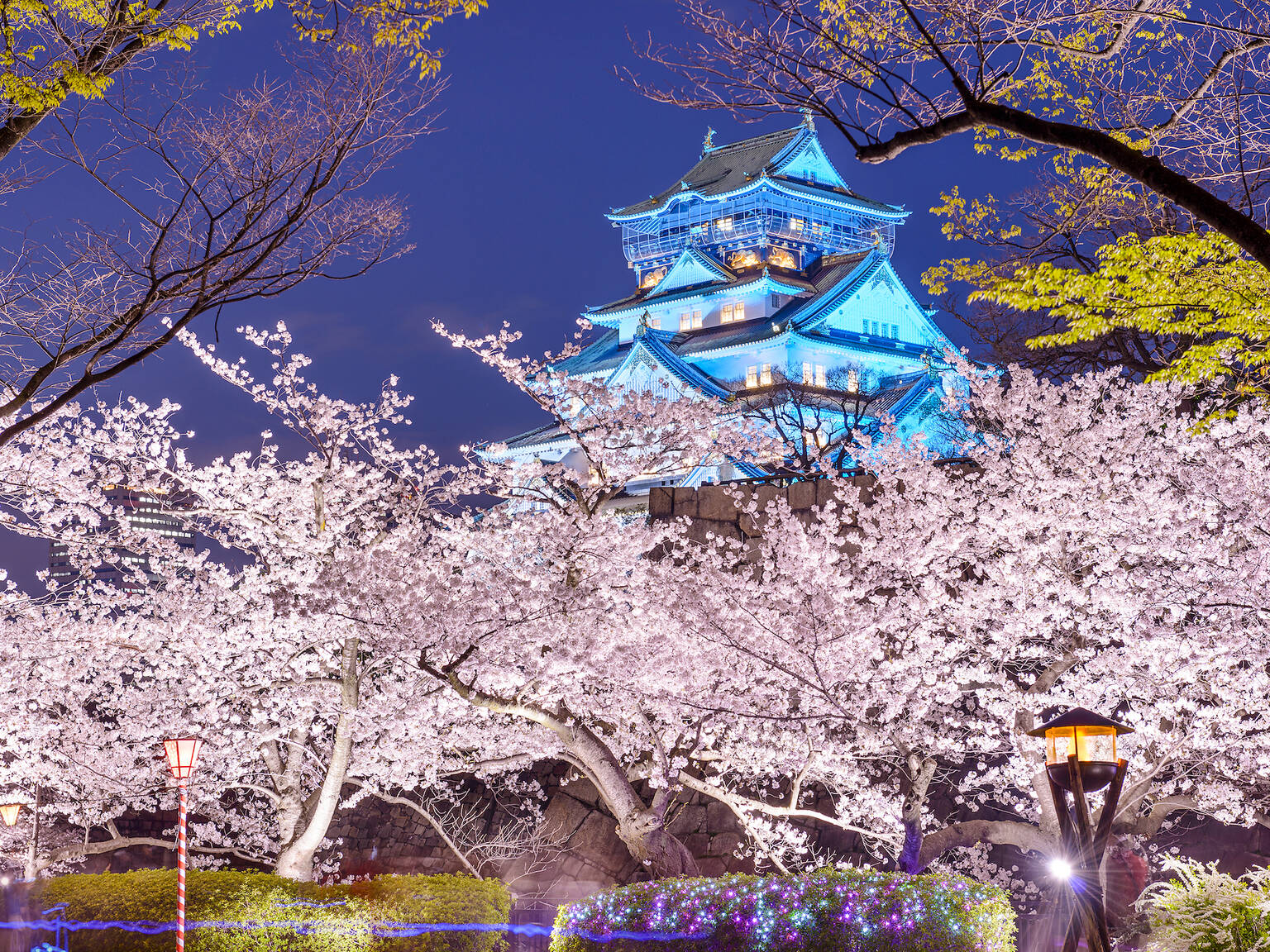 Time Out Osaka | Ultimate Guide To Where To Go, Eat & Sleep in Osaka