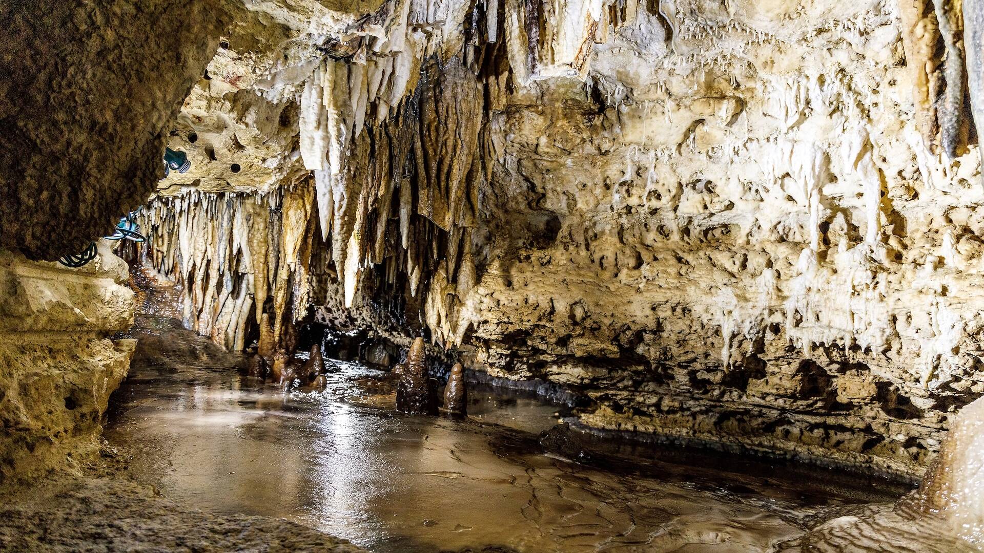 29 Unique Day Trips from Chicago You Need to Take