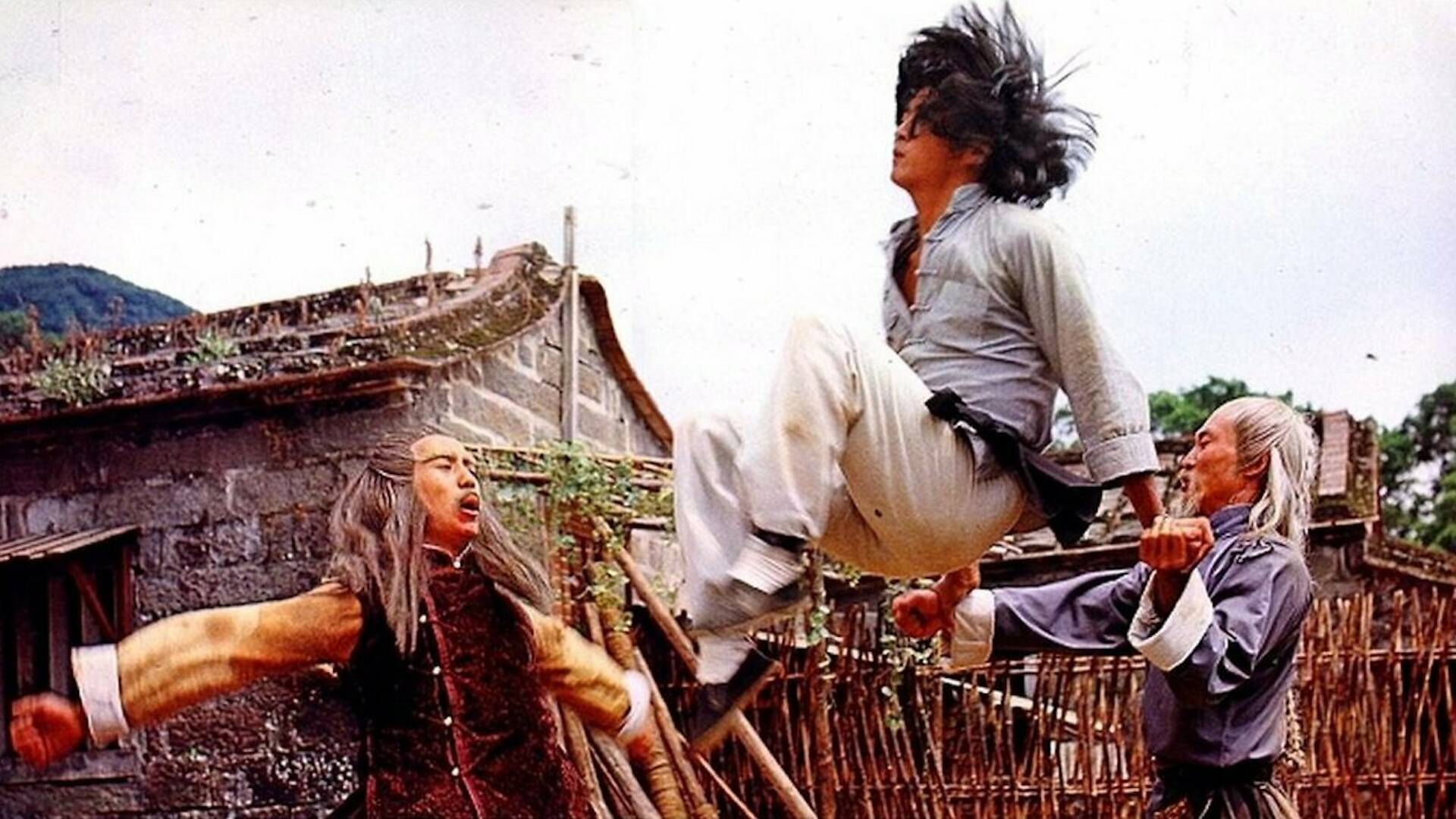 25 best martial-arts movies of all time, including kung fu films
