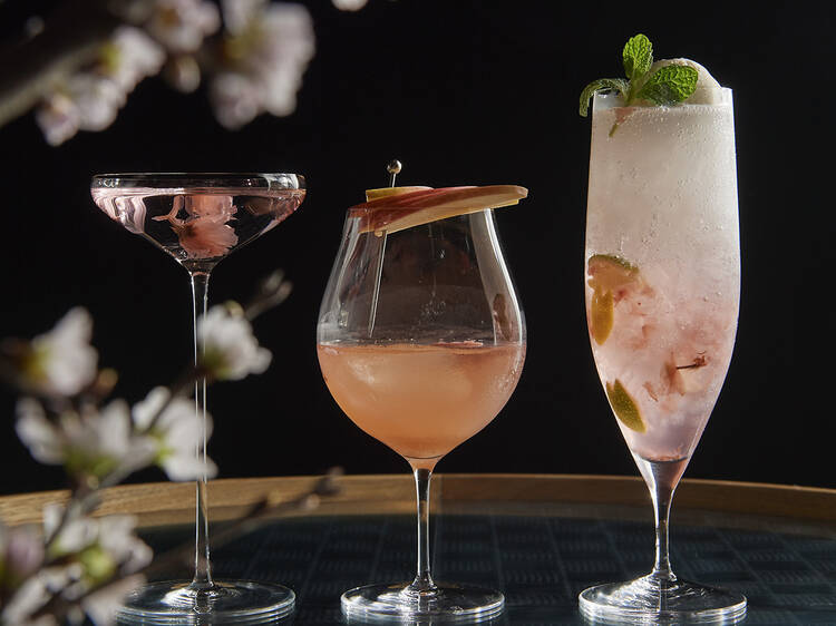 20 best cherry blossom desserts and drinks