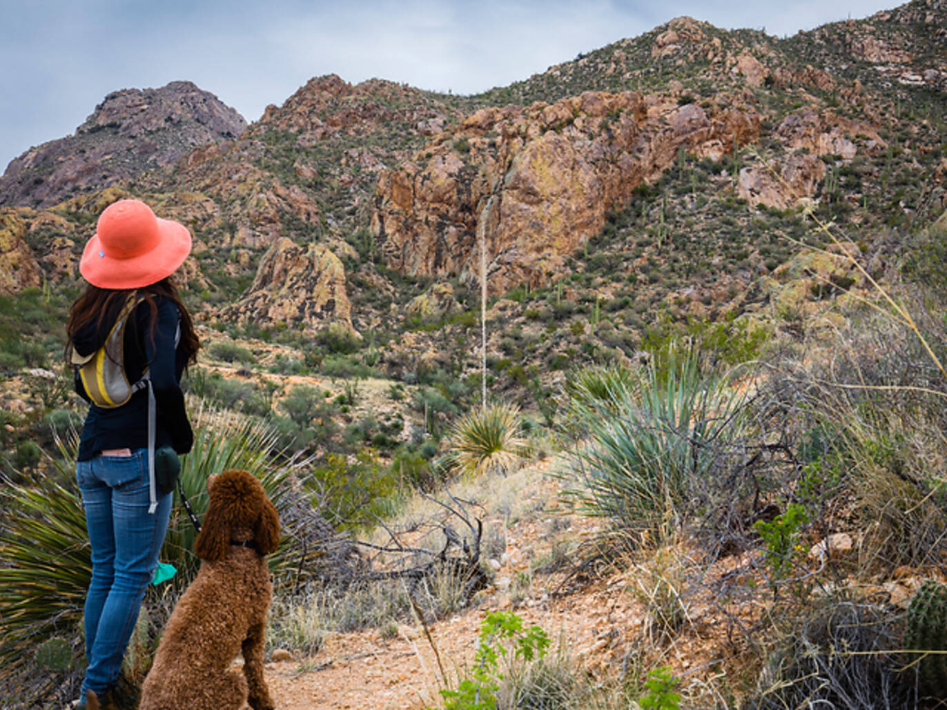 12 Best Dog-Friendly Cities in the USA to Visit With Your Pup