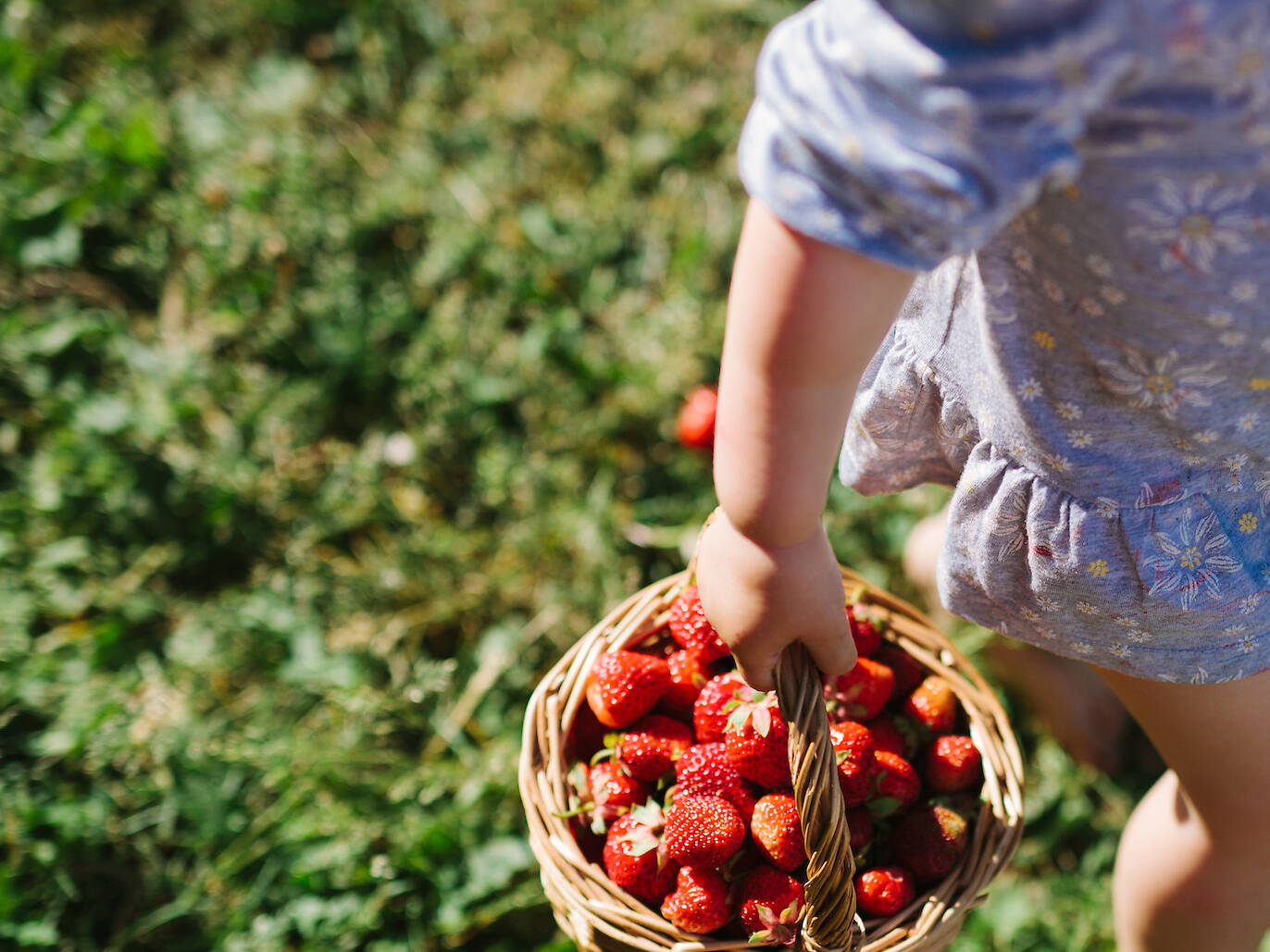 29 Things to Do in Miami With Kids for Family Adventures Year-Round