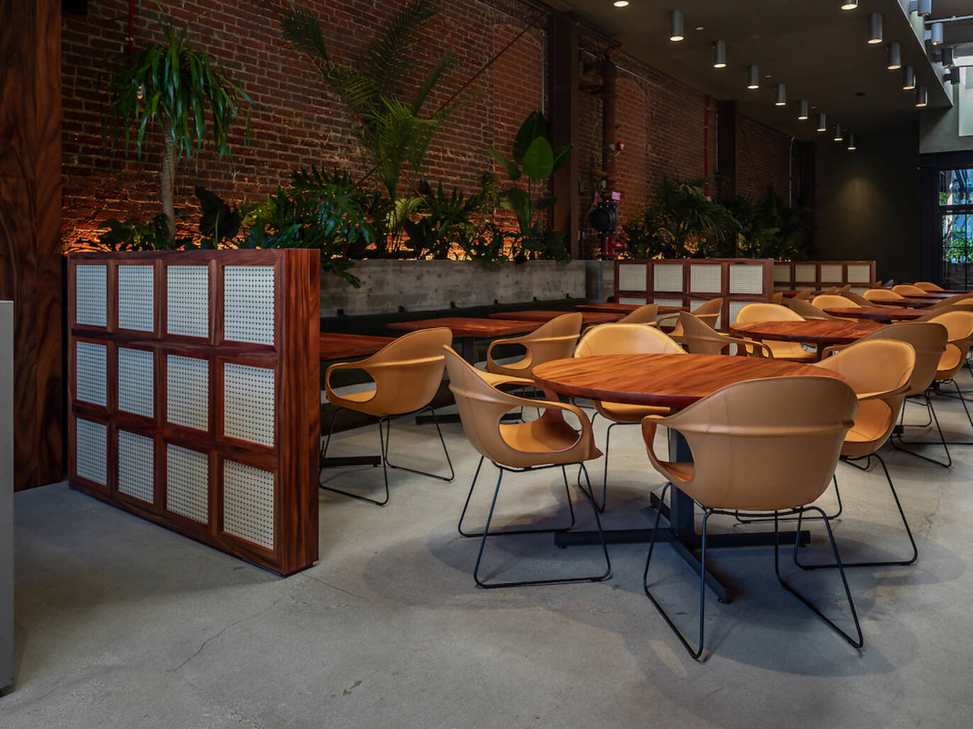 24 Best Restaurants in Downtown Los Angeles to Try Right Now