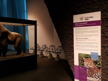 Exposiciones originales en Barcelona que te sorprenderán