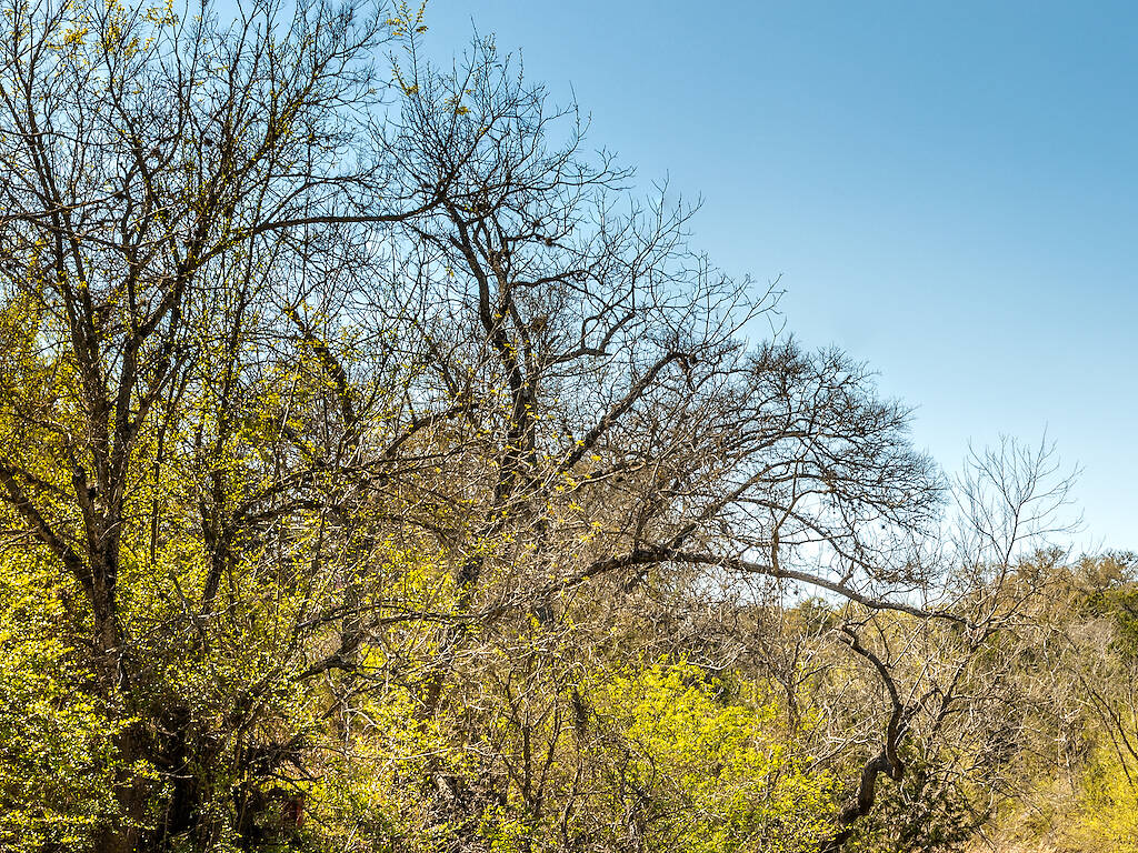 8 Best Natural Swimming Holes in the US