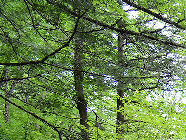 8 Best Natural Swimming Holes in the US