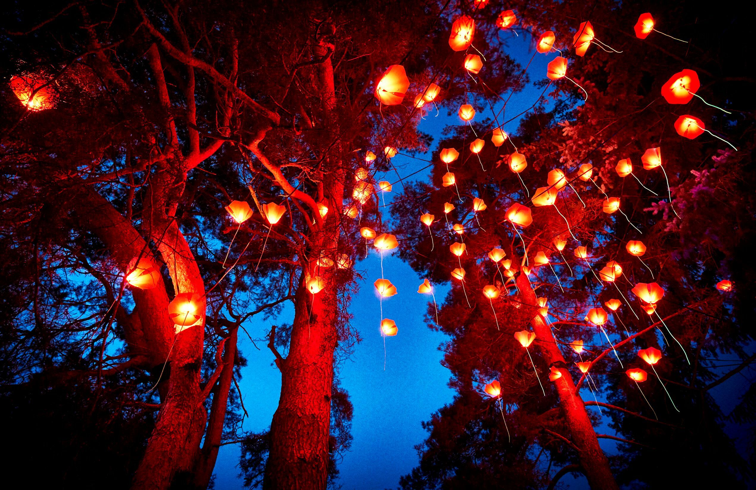 The Longest Night | Things to do in Sydney