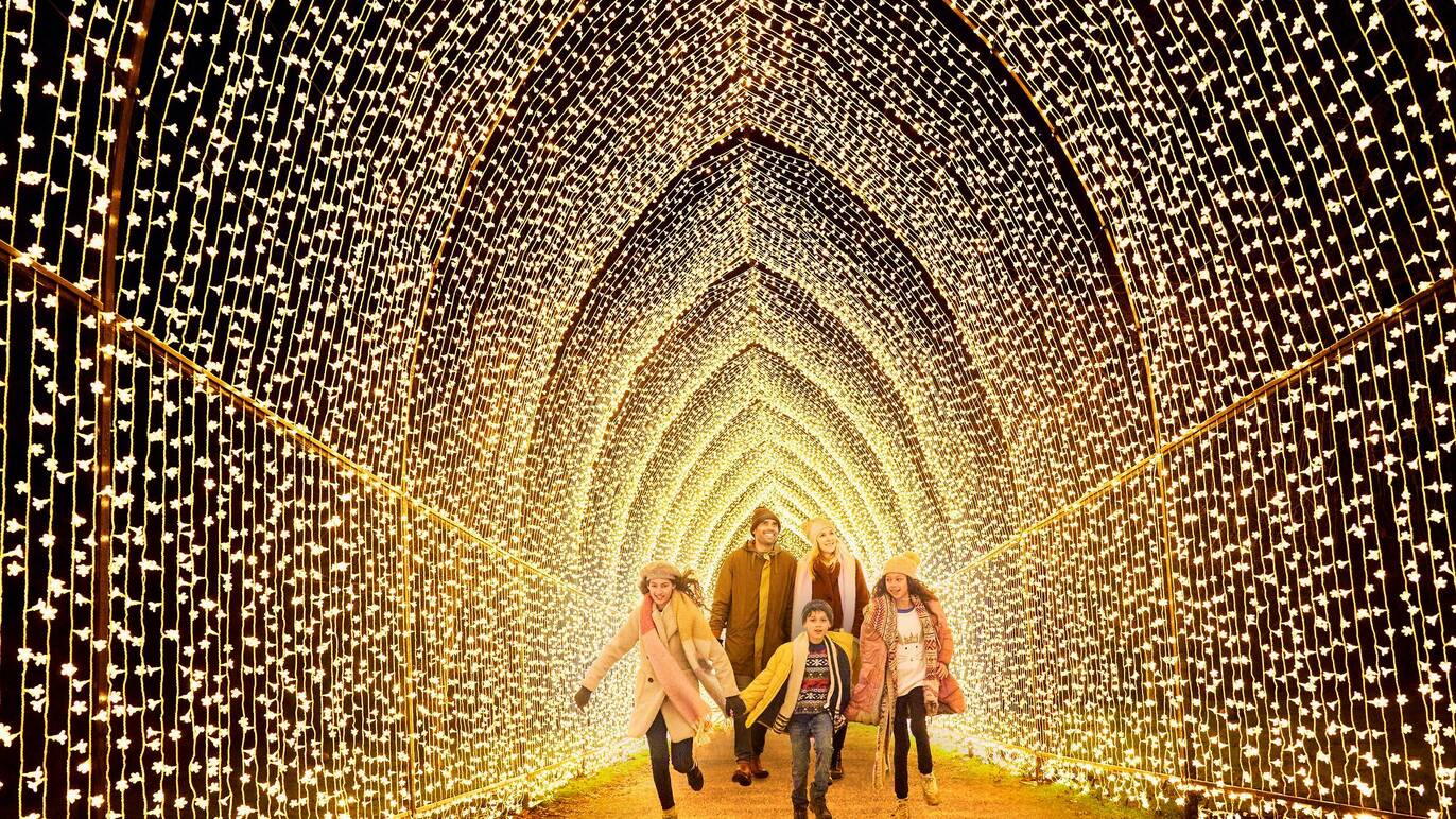 See immersive light installation Lightscape at the Royal Botanic Gardens
