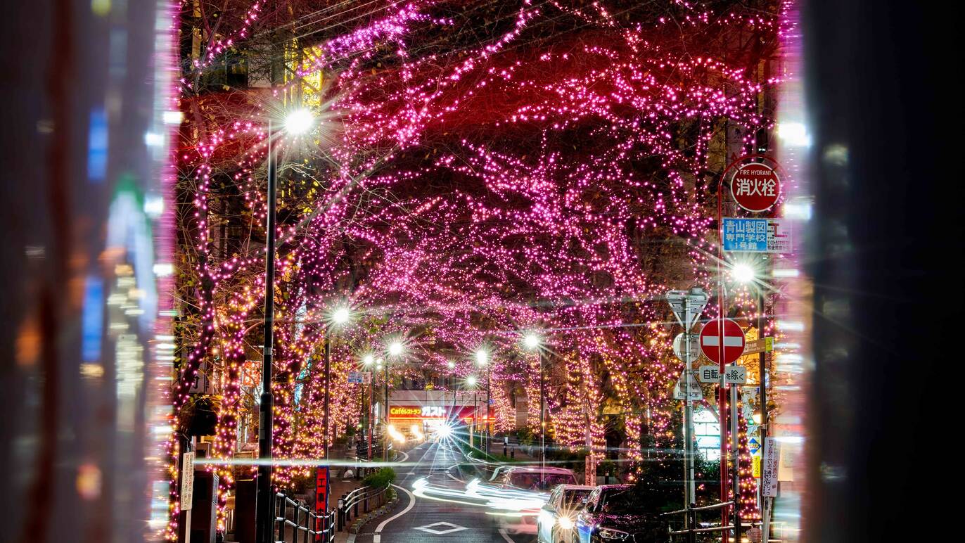 Shibuya Sakuragaoka Sakura Matsuri | Things to do in Tokyo