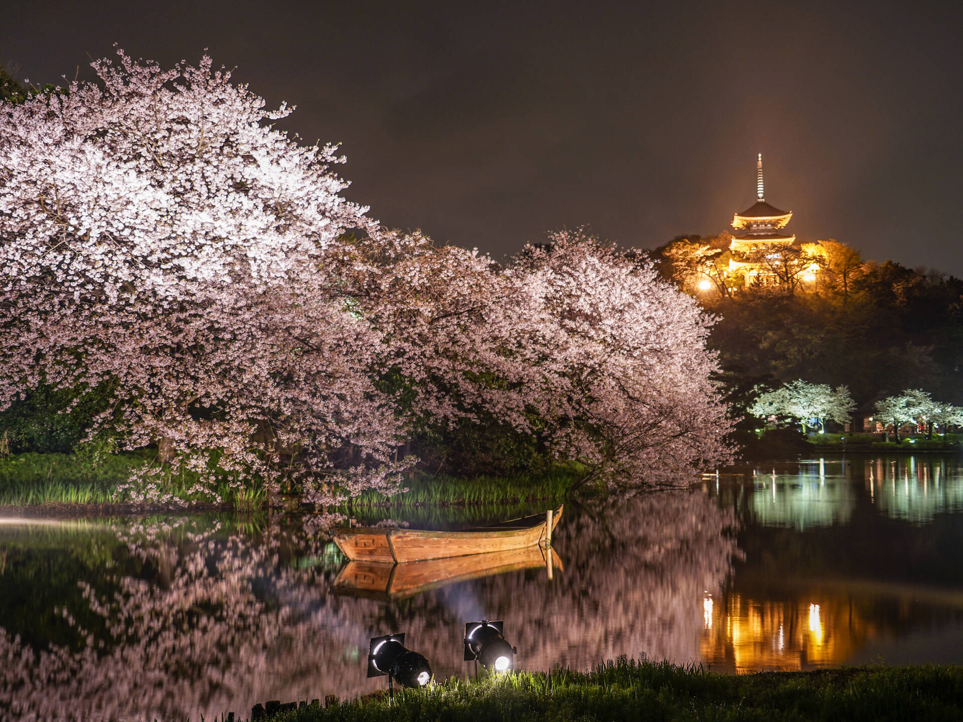 March events in Tokyo | Time Out Tokyo