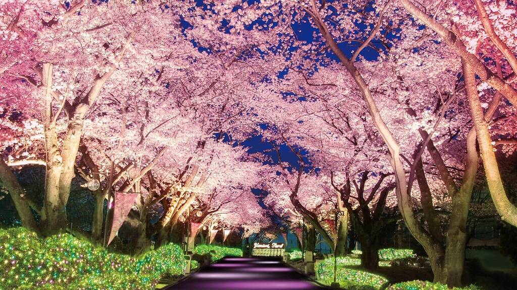 Things to do in Tokyo this weekend