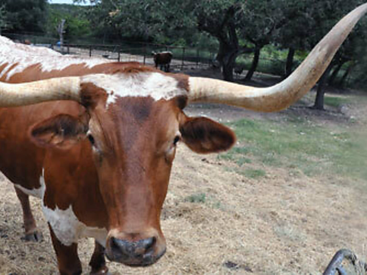 17 Best Things to do With Kids in Austin Right Now