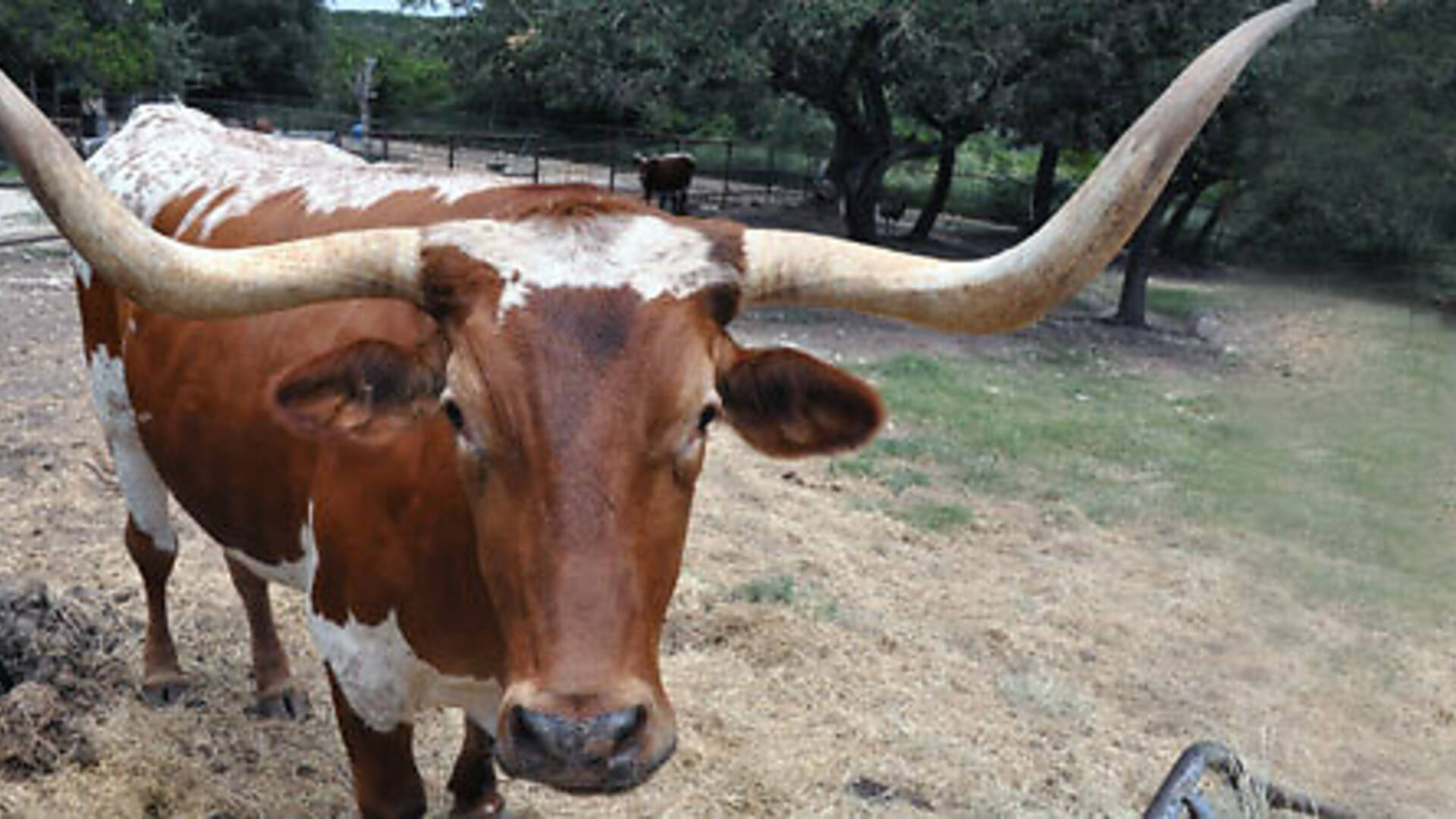 17 Best Things to do With Kids in Austin Right Now