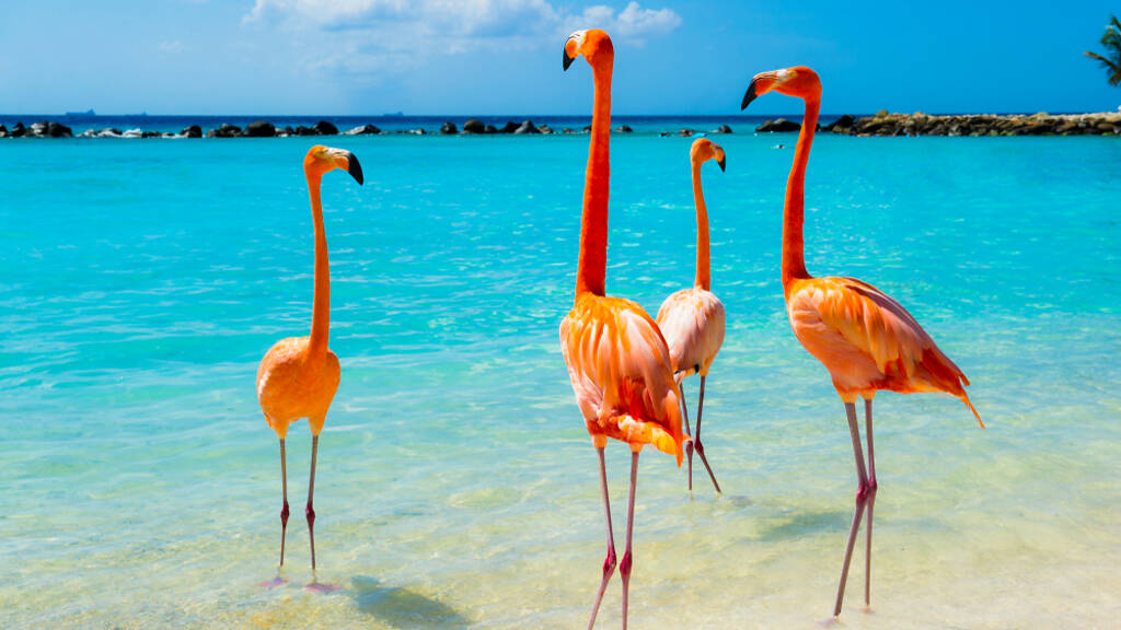 11 Prettiest Islands in the World, Picked By A Travel Expert