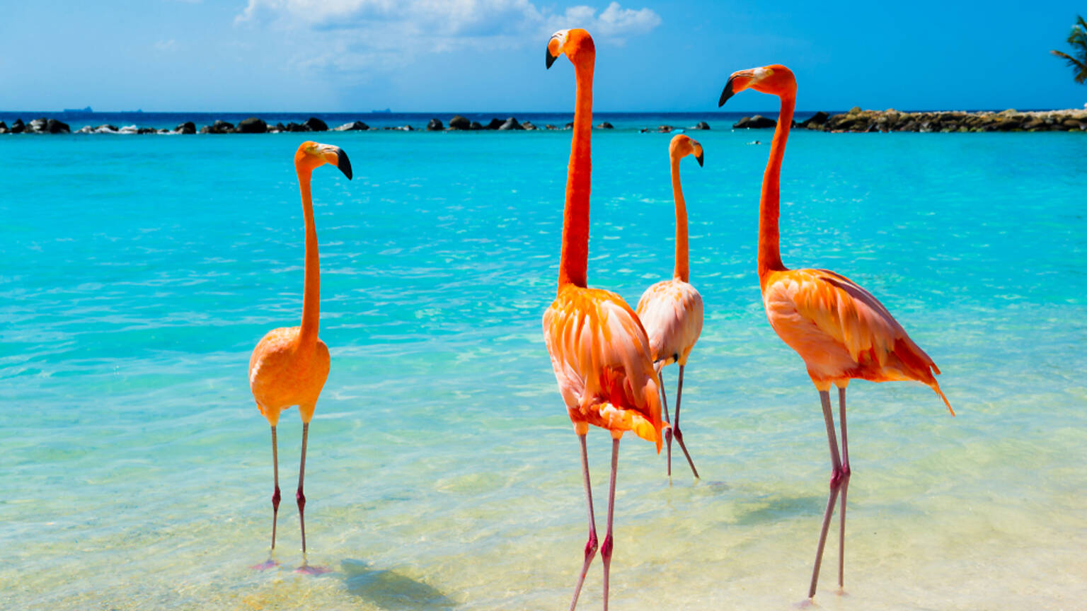 11 Prettiest Islands in the World, Picked By A Travel Expert