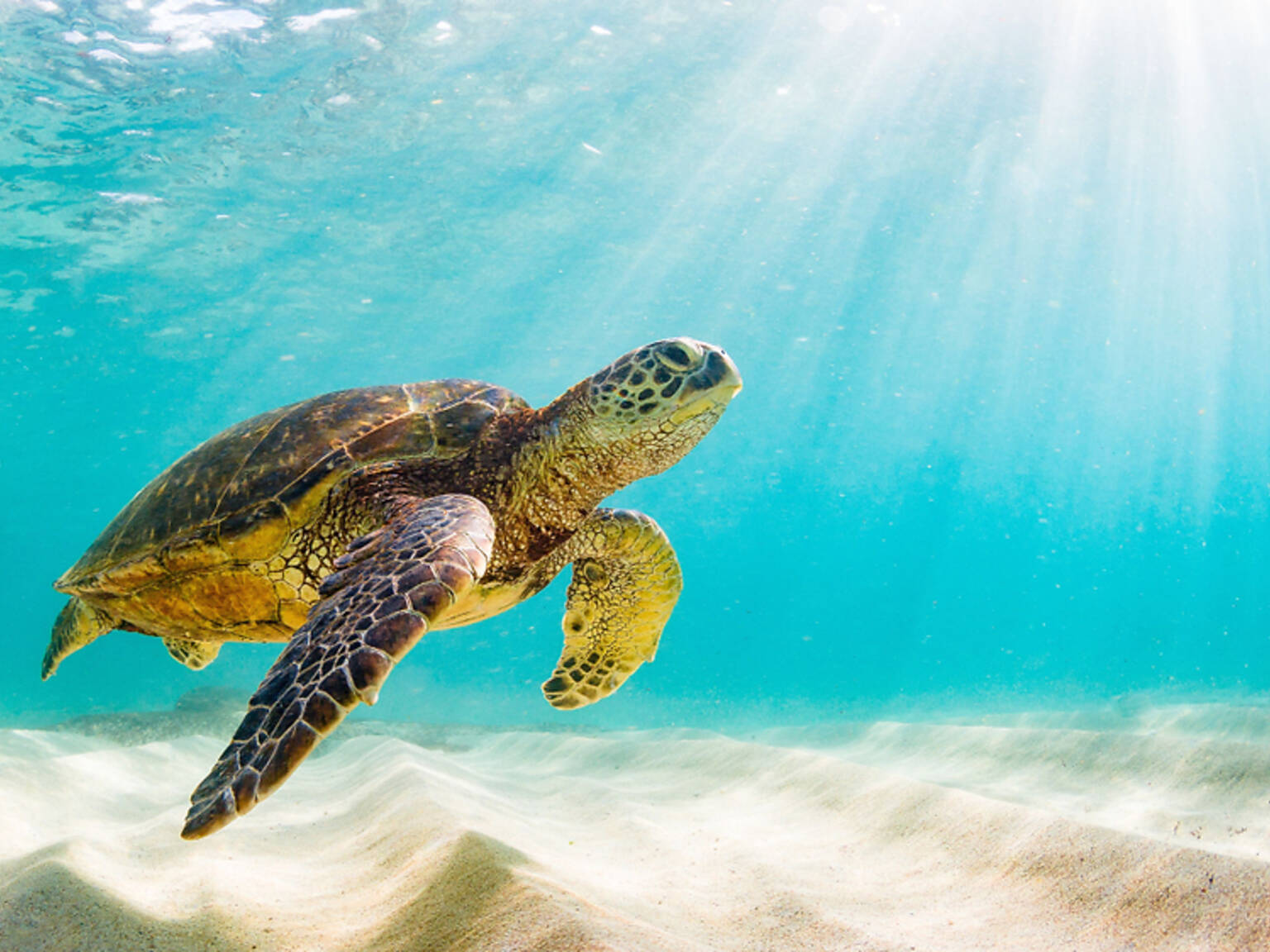 11 Prettiest Islands in the World, Picked By A Travel Expert