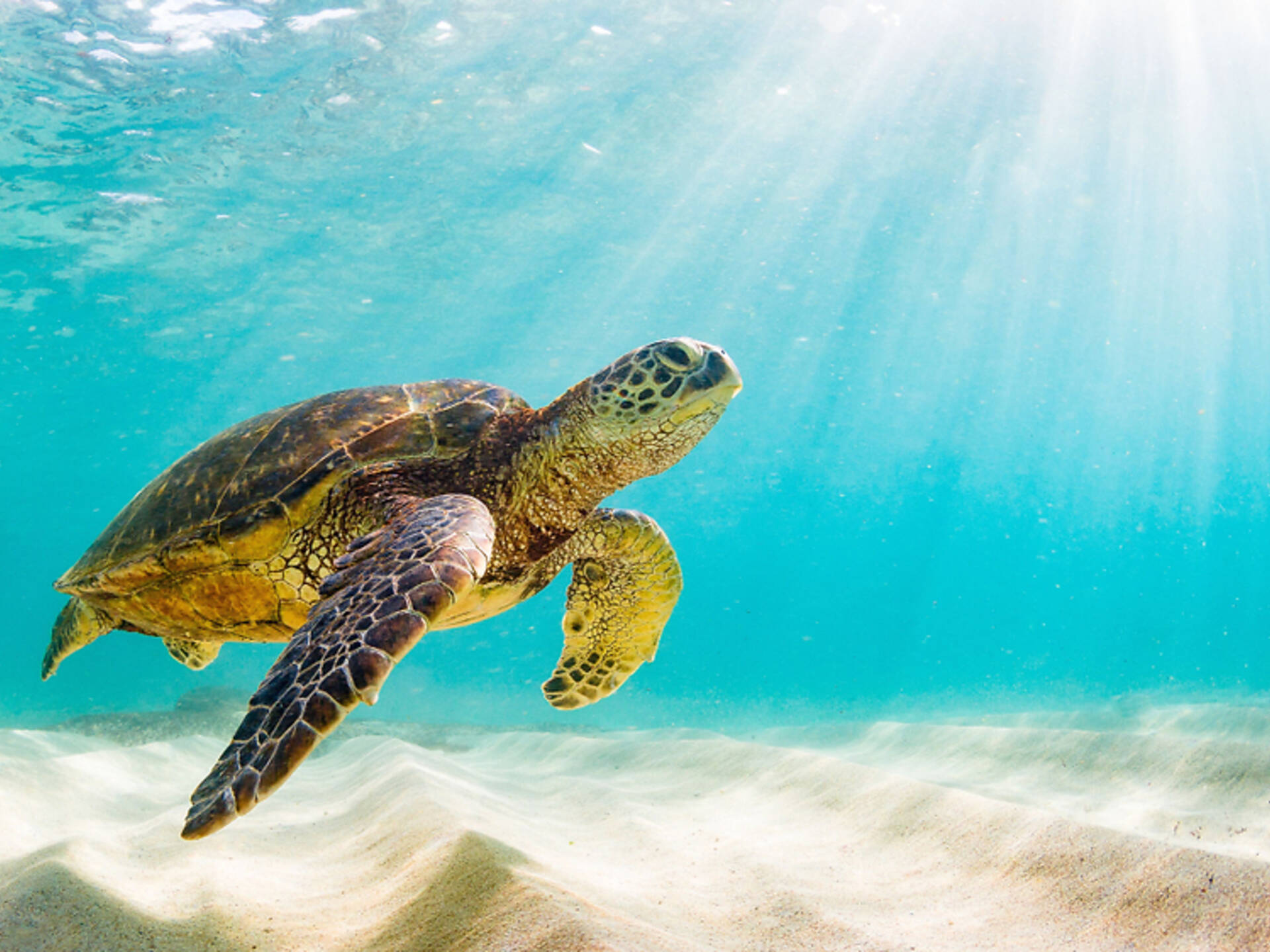 11 Prettiest Islands in the World, Picked By A Travel Expert