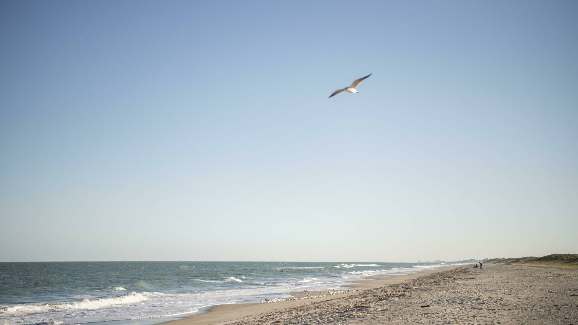 9 Best Things to Do in Cocoa Beach