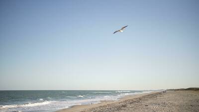 9 Best Things to Do in Cocoa Beach