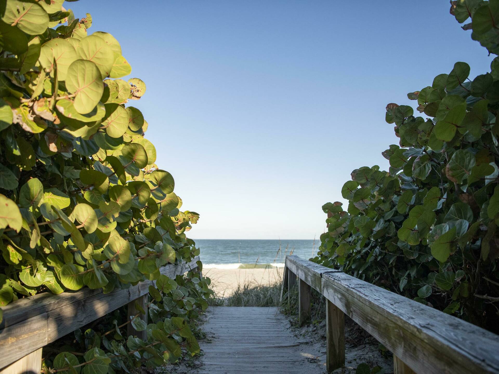 9 Best Things to Do in Cocoa Beach