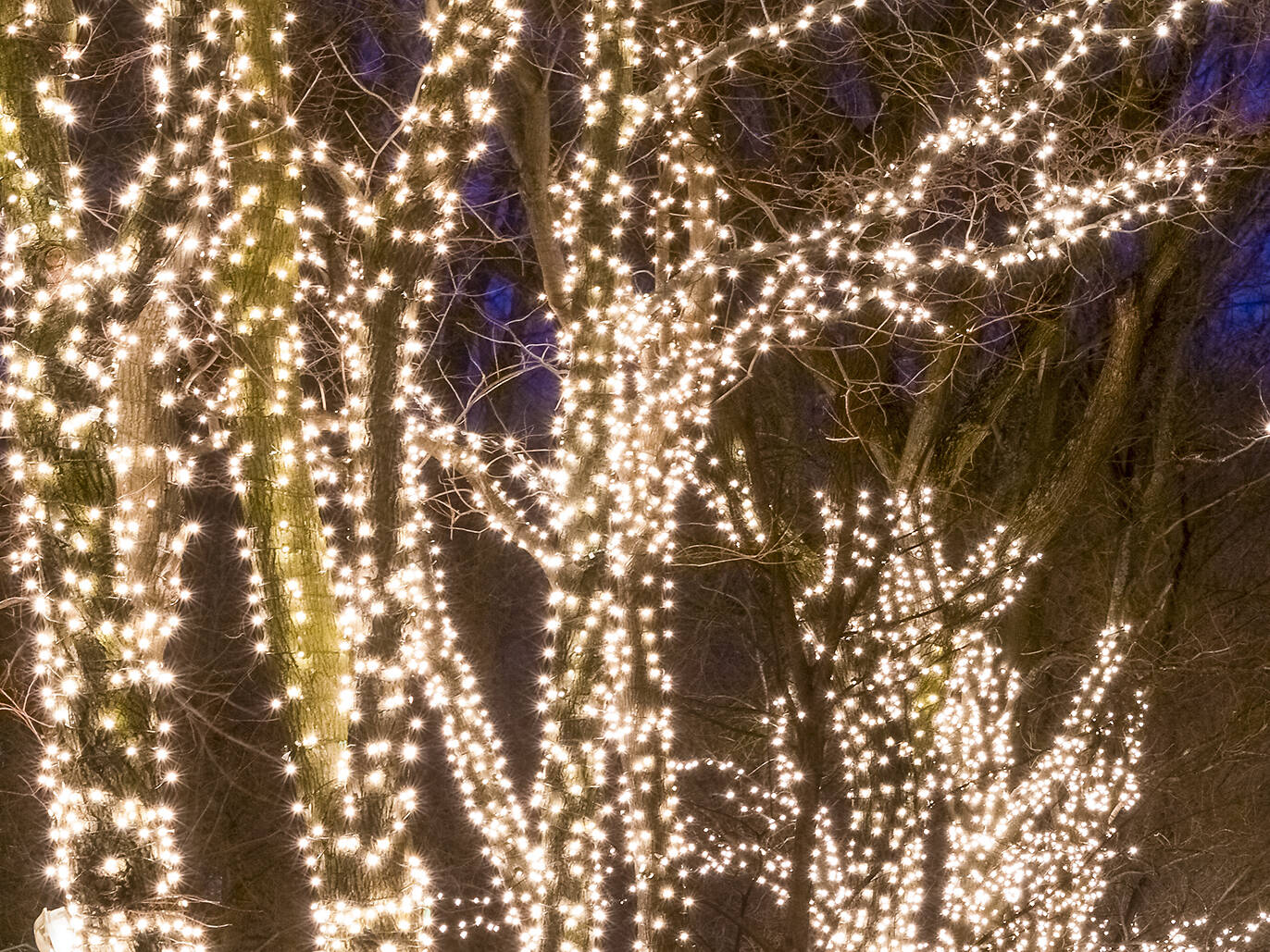 The Best Parks in Boston: 11 Green Spaces Perfect for Touching Grass