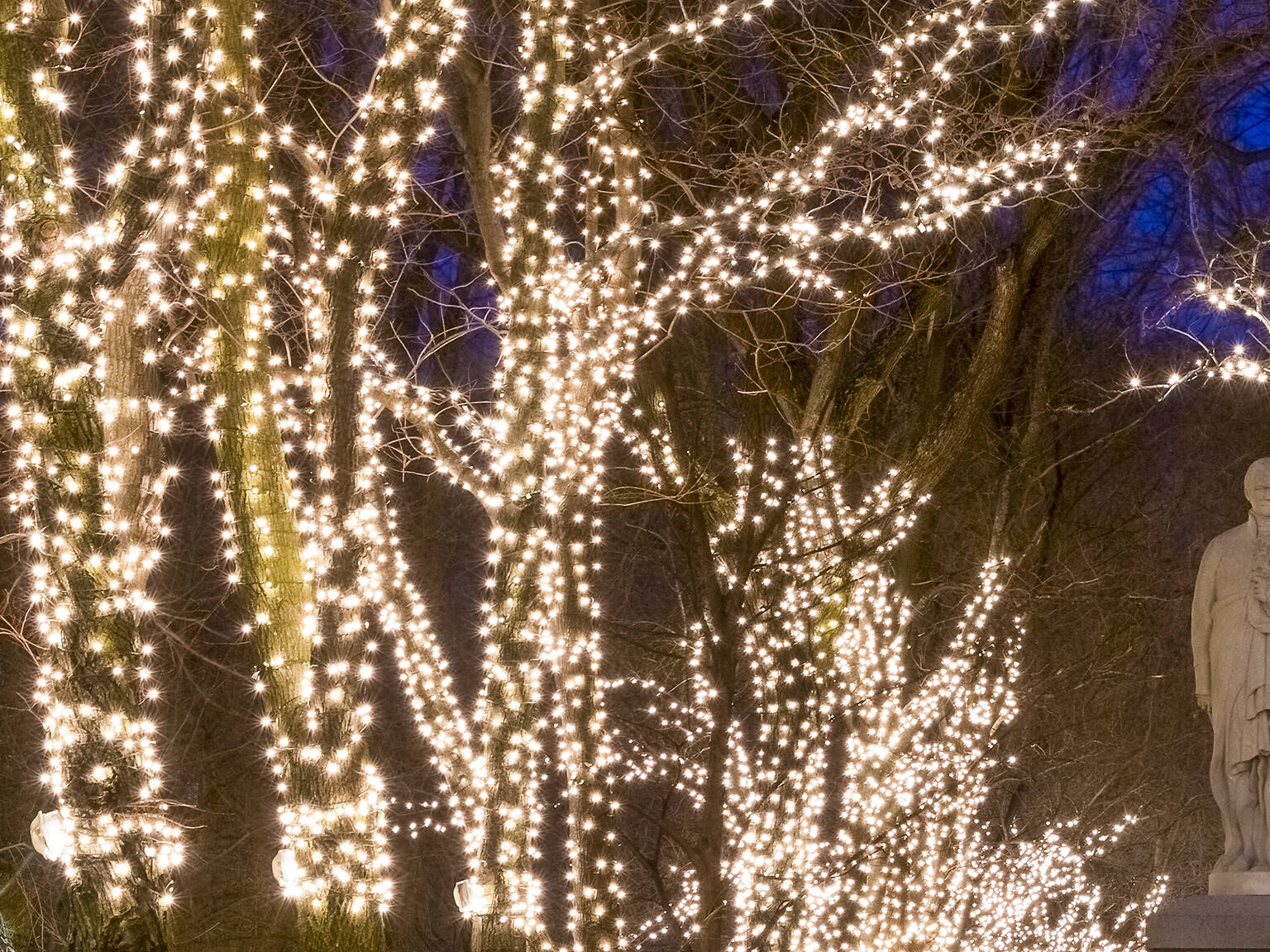 The Best Parks in Boston: 11 Green Spaces Perfect for Touching Grass