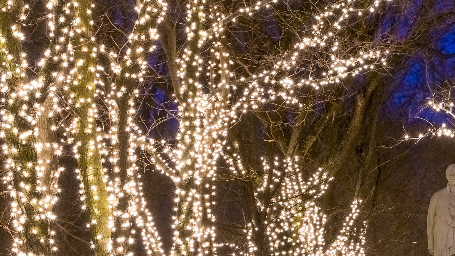 The Best Parks in Boston: 11 Green Spaces Perfect for Touching Grass