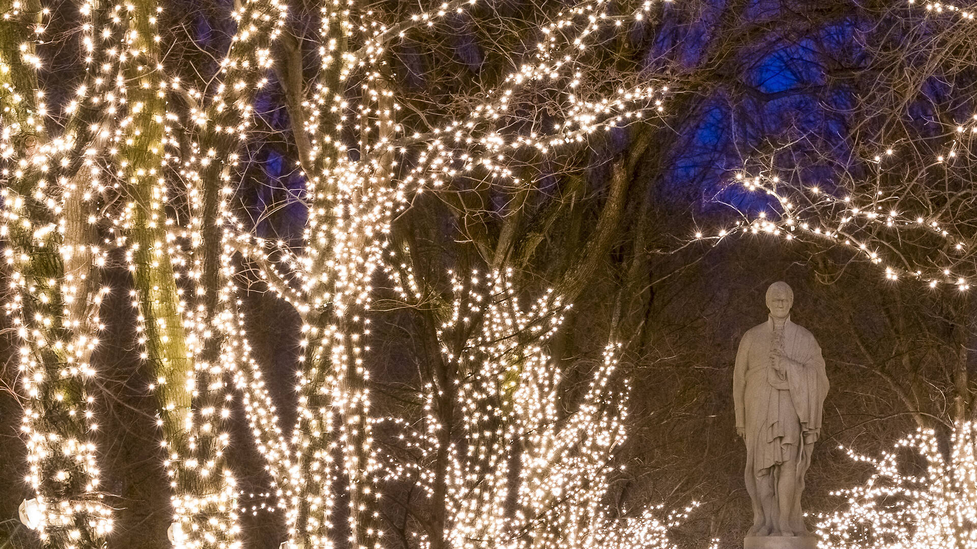 The Best Parks in Boston: 11 Green Spaces Perfect for Touching Grass