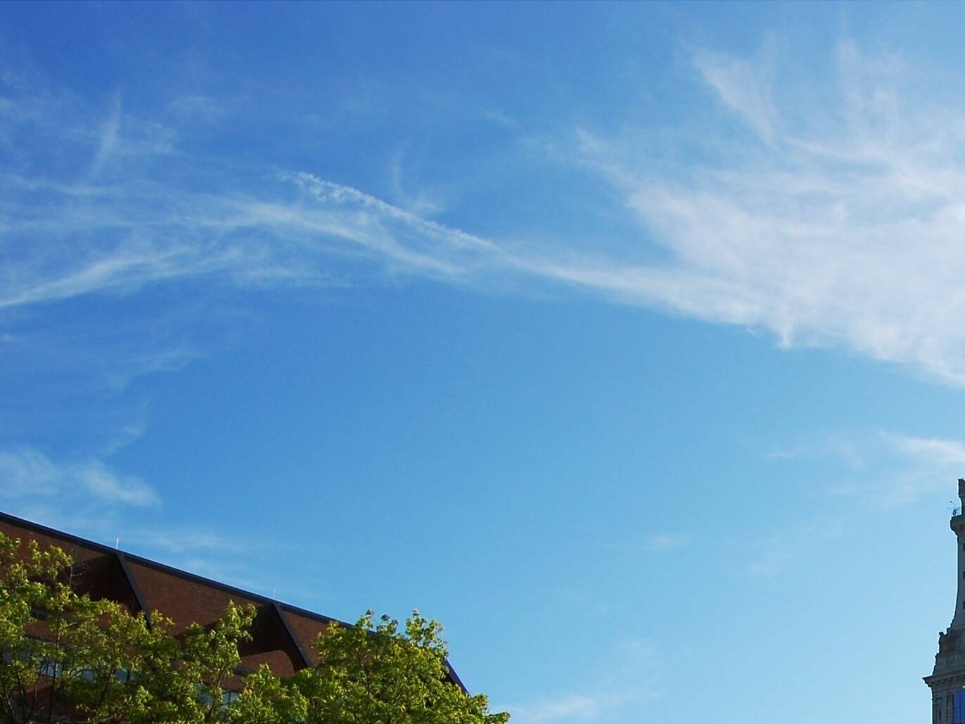 The Best Parks in Boston: 11 Green Spaces Perfect for Picnics