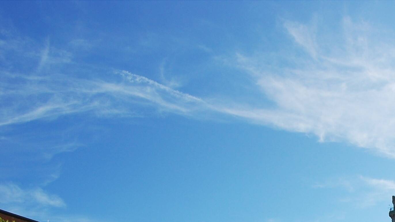 The Best Parks in Boston: 11 Green Spaces Perfect for Touching Grass