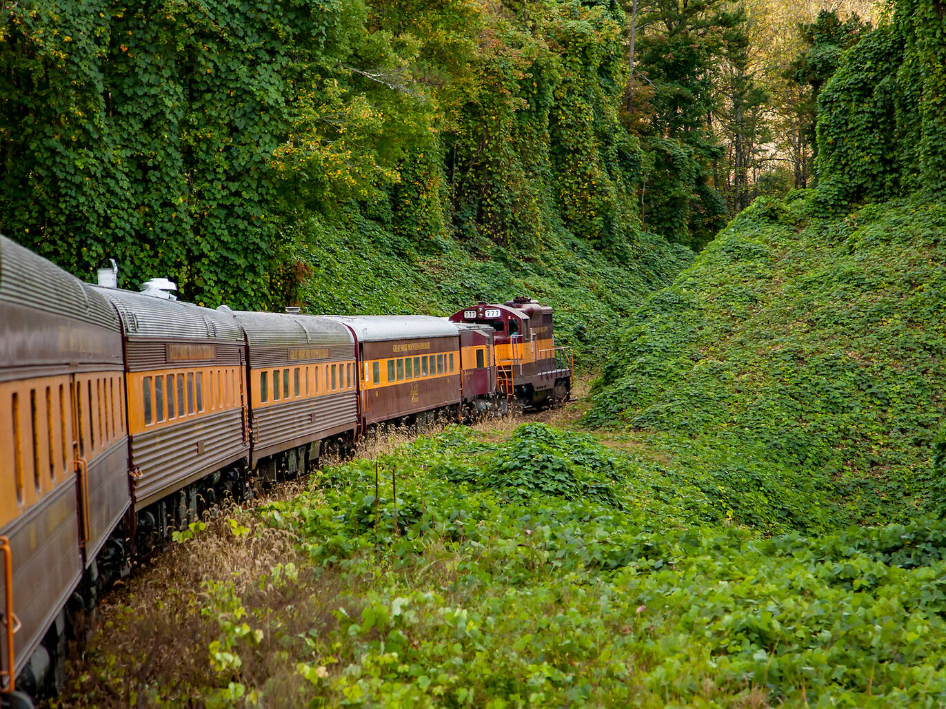 14 Best Scenic Train Rides in the USA for Spectacular Views