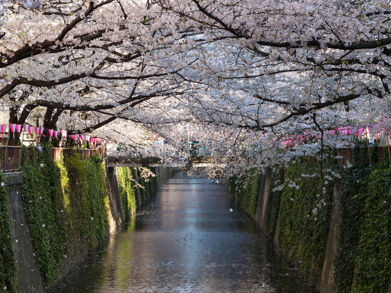 Things to do in Tokyo | Time Out Tokyo