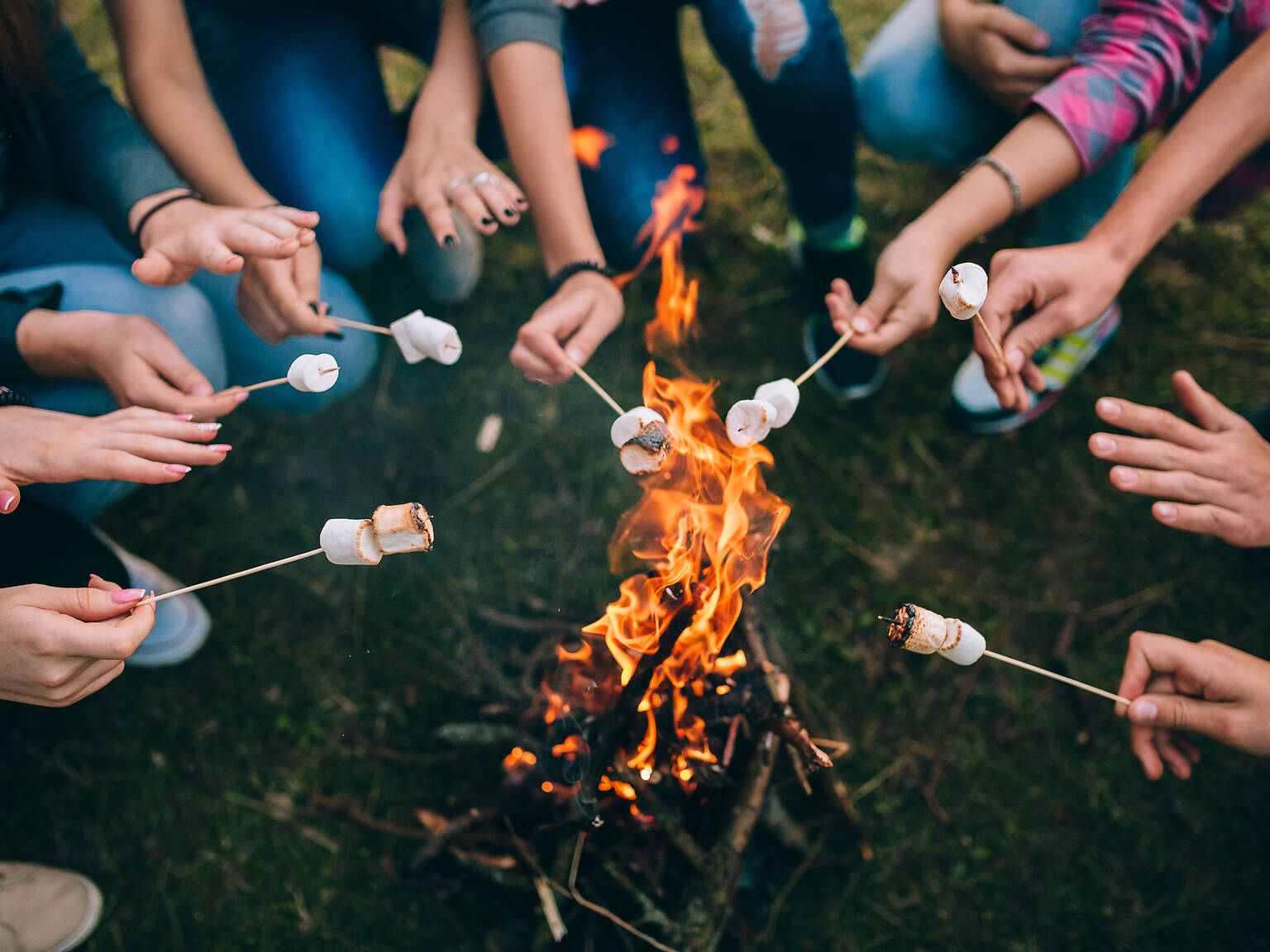 20 Great Places to Go Camping Near Chicago