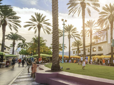 Best Miami Events in January 2025