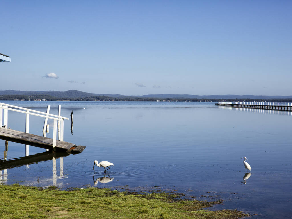 5 Best Day Trips From Sydney Without A Car